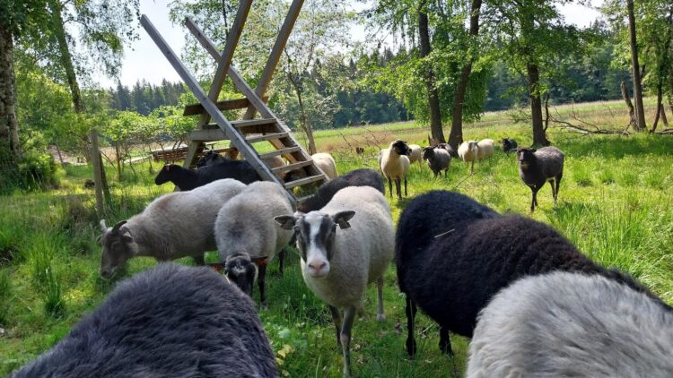 The Bothnian Sea National Park - Visit Rauma