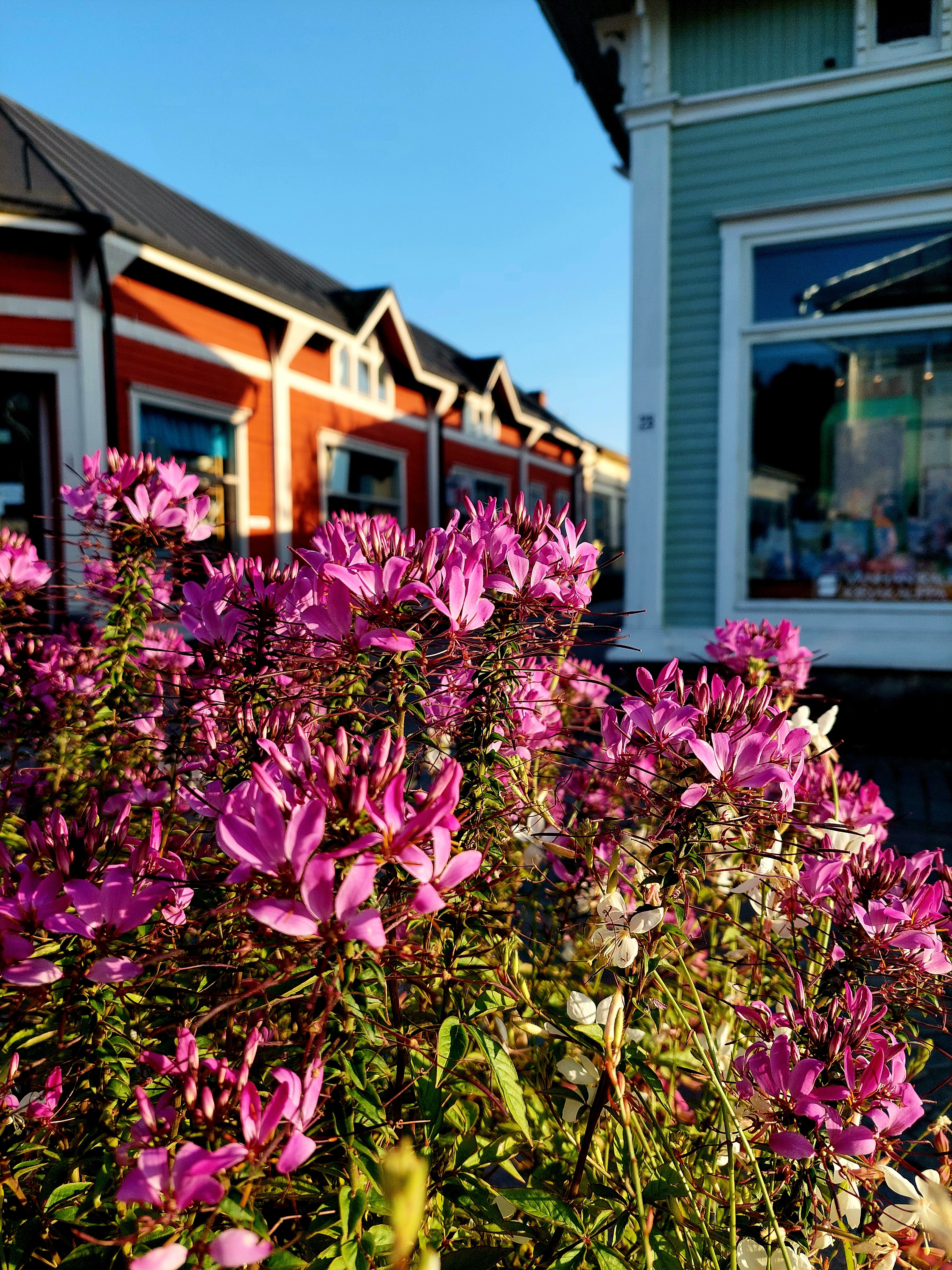 UNESCO World Heritage Site - Visit Rauma