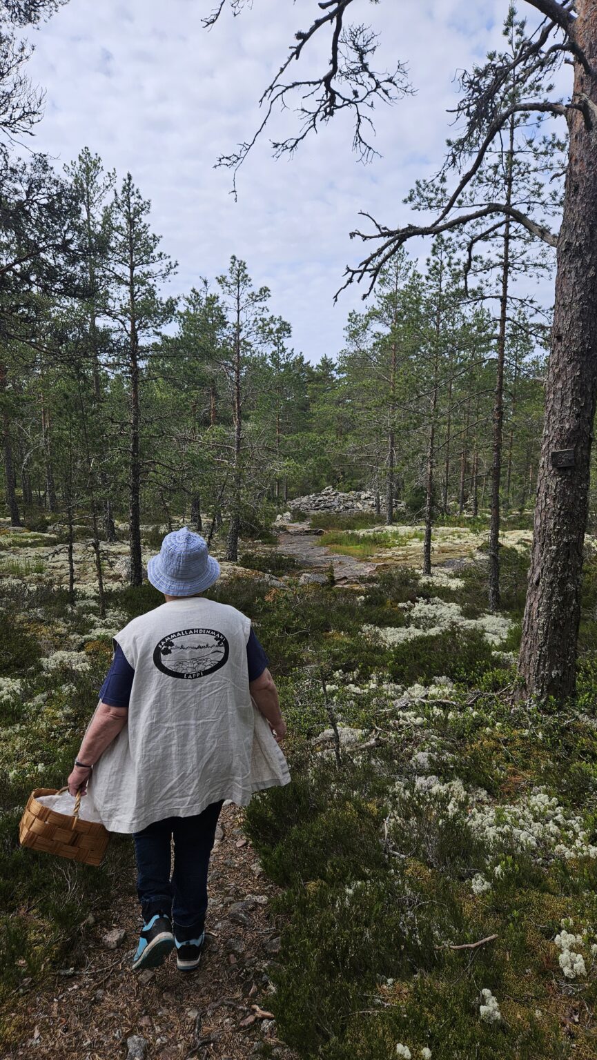Bronze Age and Sammallahdenmäki - learning material - Visit Rauma